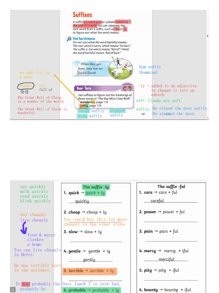 3.14 Class Notes Elsa | PDF