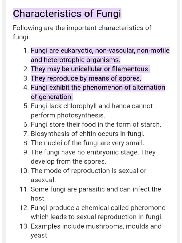 Fungi Notes | PDF