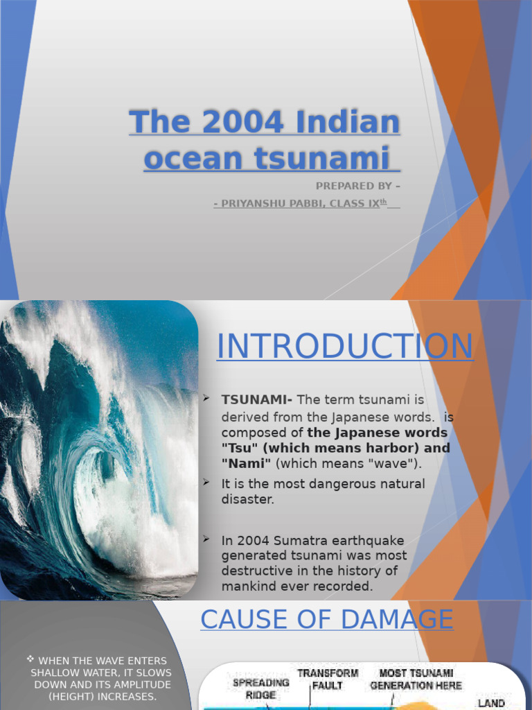 The 2004 Indian Ocean Tsunami | PDF | Tsunami | Earthquakes