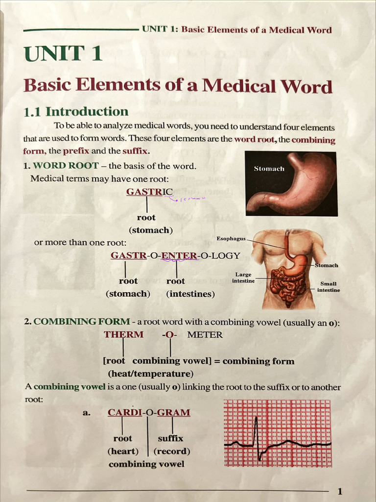 Medical Terms Book - Unit1a | PDF