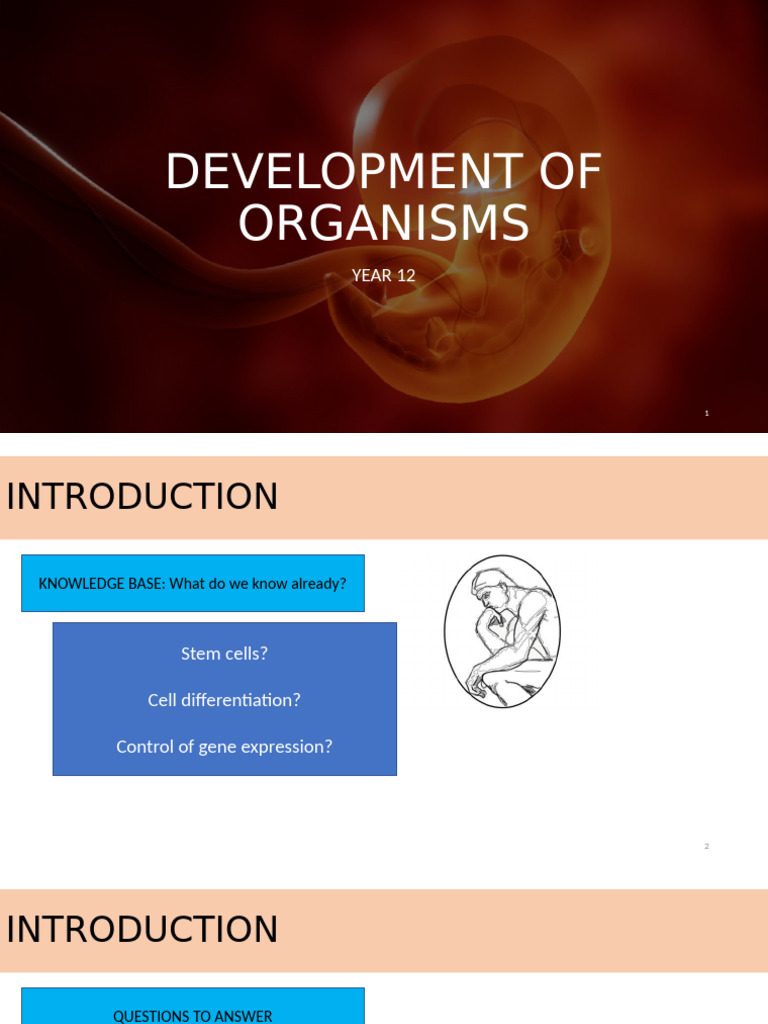 Understanding Organism Development | PDF | Gene | Gene Expression