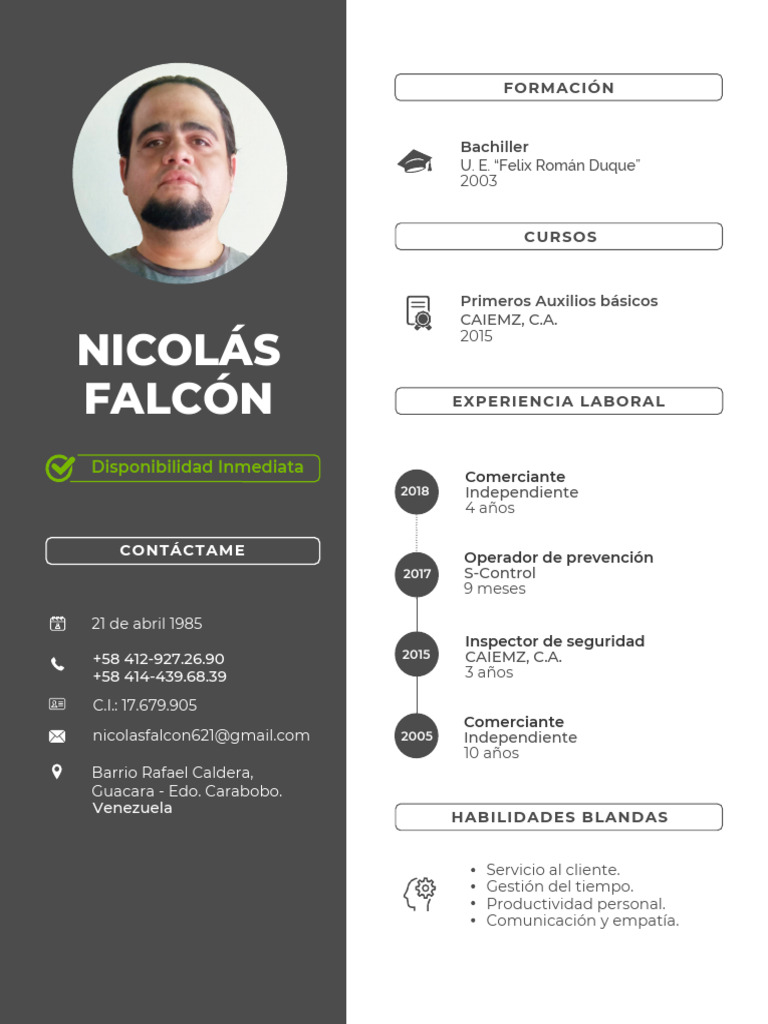 Curriculum - Nicolás Falcón | PDF
