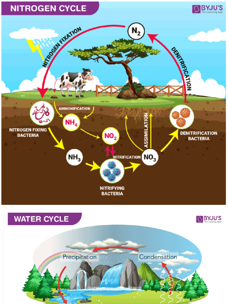 All Cycles of Nature | PDF
