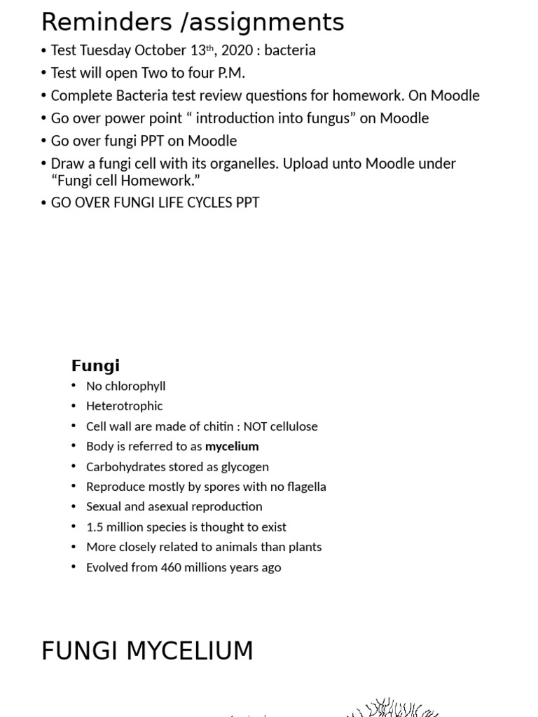 Bacteria and Fungi Study Guide | PDF | Fungus | Biology