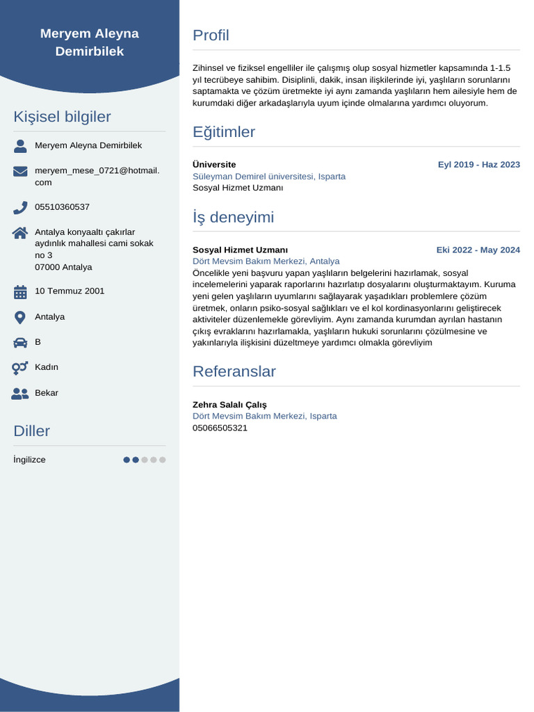 CV Meryem Aleyna Demirbilek | PDF