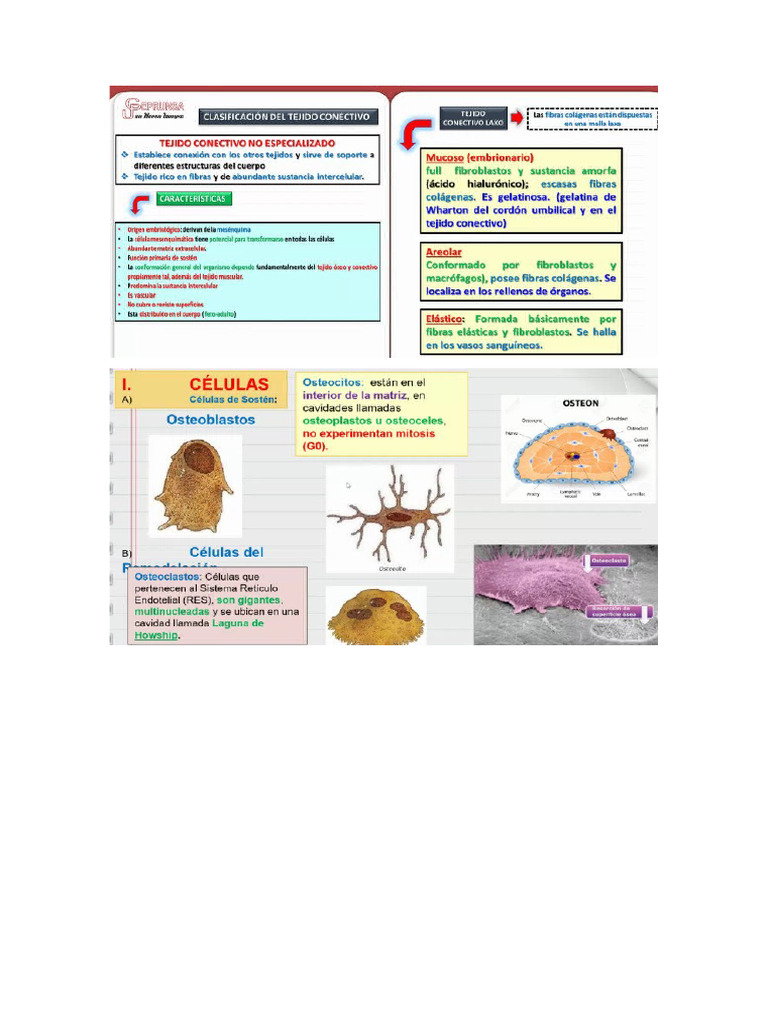 Bio Sem 4 | PDF