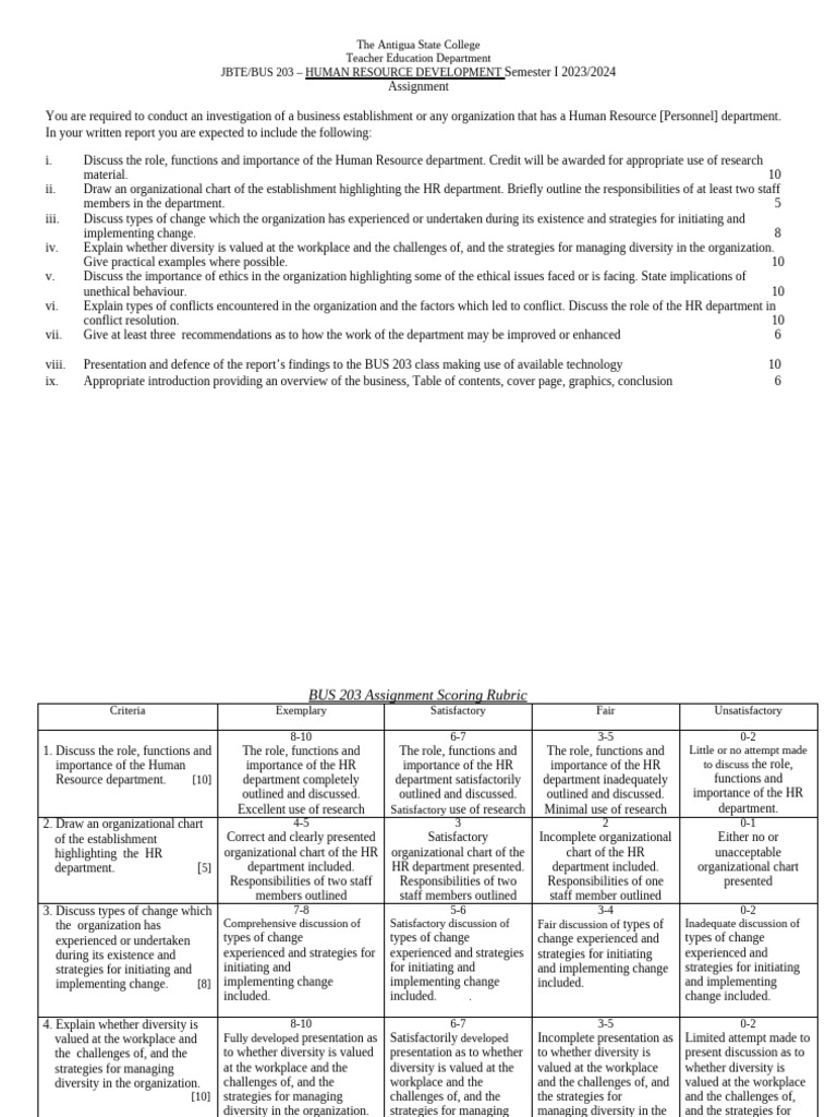 BUS 203 2024 - 2025 Project and Grading Rubric | PDF | Human Resources | Social Psychology