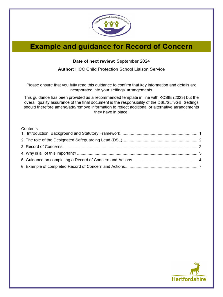 Example and Guidance For Record of Concern and Action Forms 2023 2024 | PDF