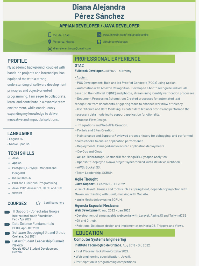 Diana Perez - Resume Appian | PDF | Computer Programming | Web Development