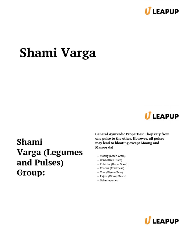 3070829-3_Shami_Varga | PDF | Legume | Chickpea