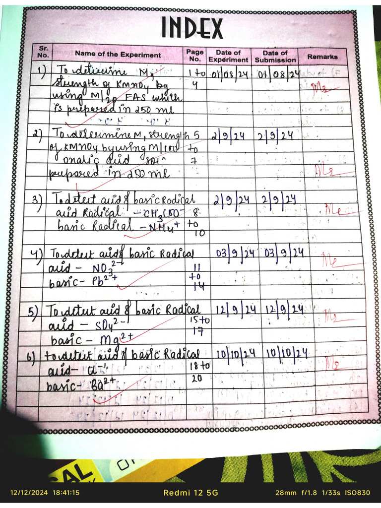 Pushkar Chem Prac | PDF