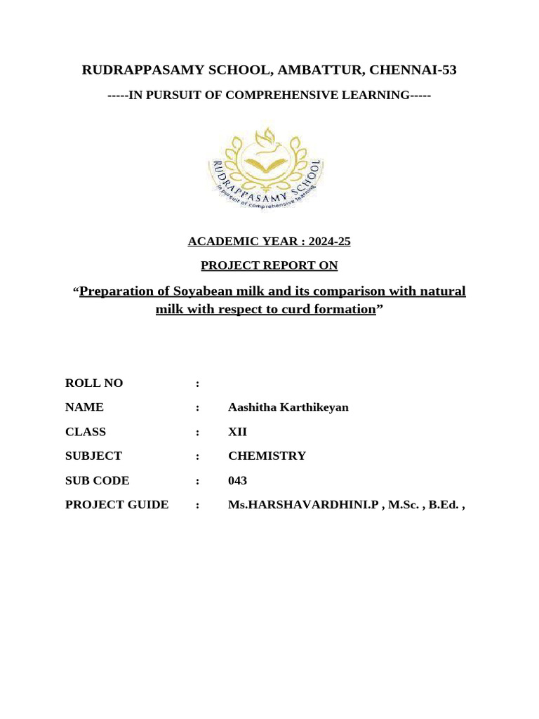 Chemistry Project Header | PDF