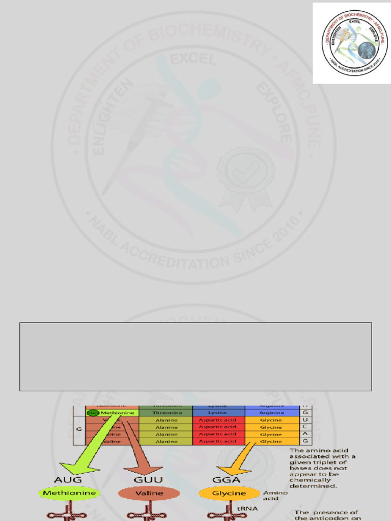 DNA Repair, Genetic Code and Mutations | PDF | Genetic Code | Biomolecules