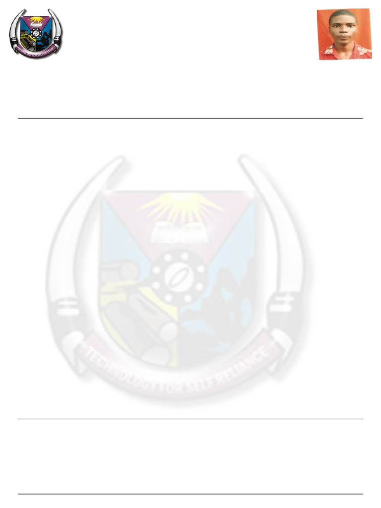 Fadenipo Obaloluwa Joshua 202440578405ef Biodata | PDF