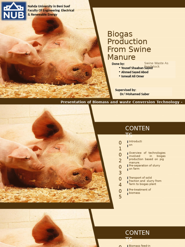 Biogas Production From Swine(Pigs) Manure | PDF | Anaerobic Digestion ...