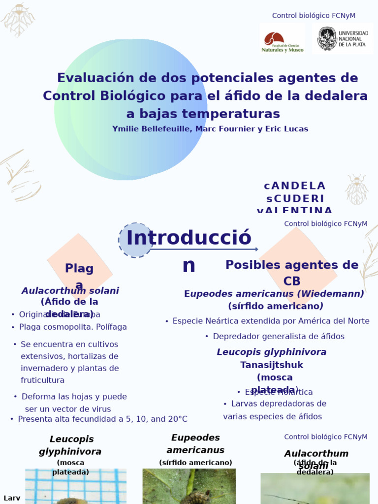 Presentación Control Biológico | PDF | Control biológico de plagas | Mosca