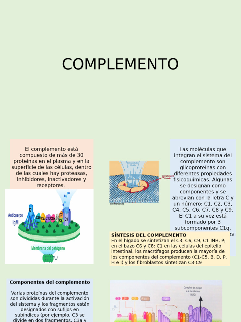 COMPLEMENTO | PDF | Sistema complementario | Inmunología