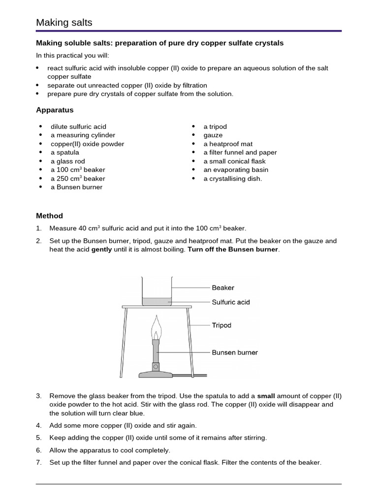 Student Practical Worksheet | PDF