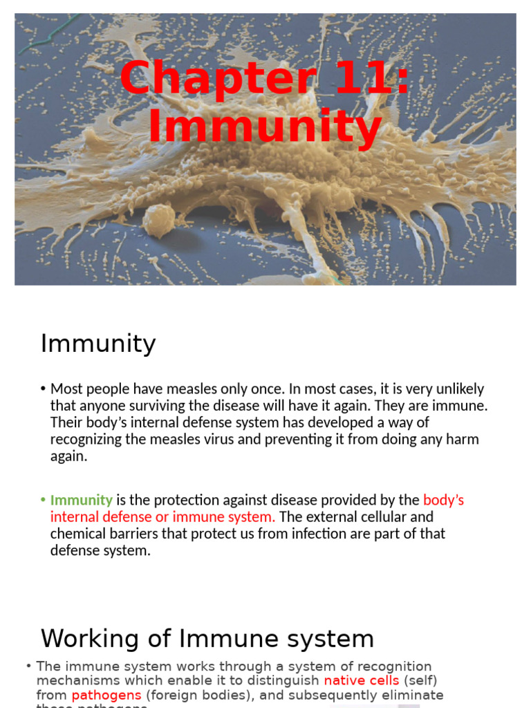 Immunity | PDF