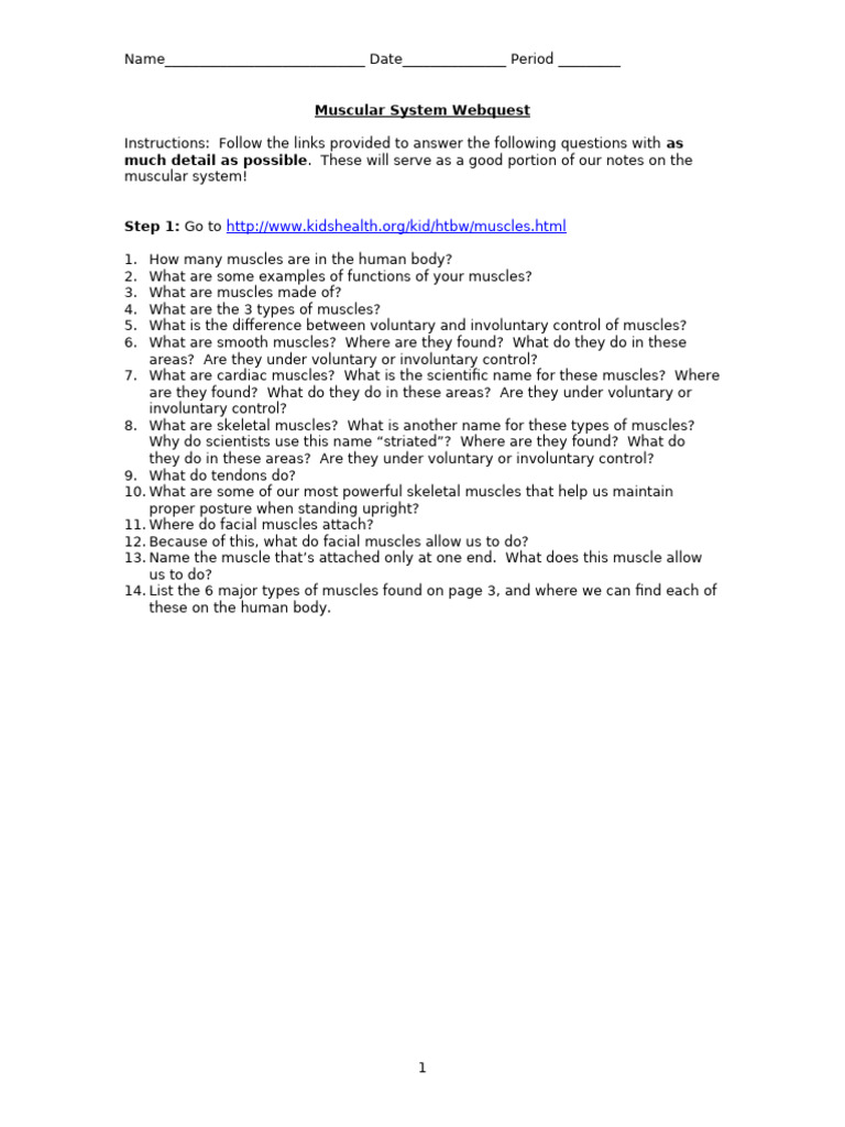 Muscular System Webquest | PDF | Anatomy | Human Anatomy