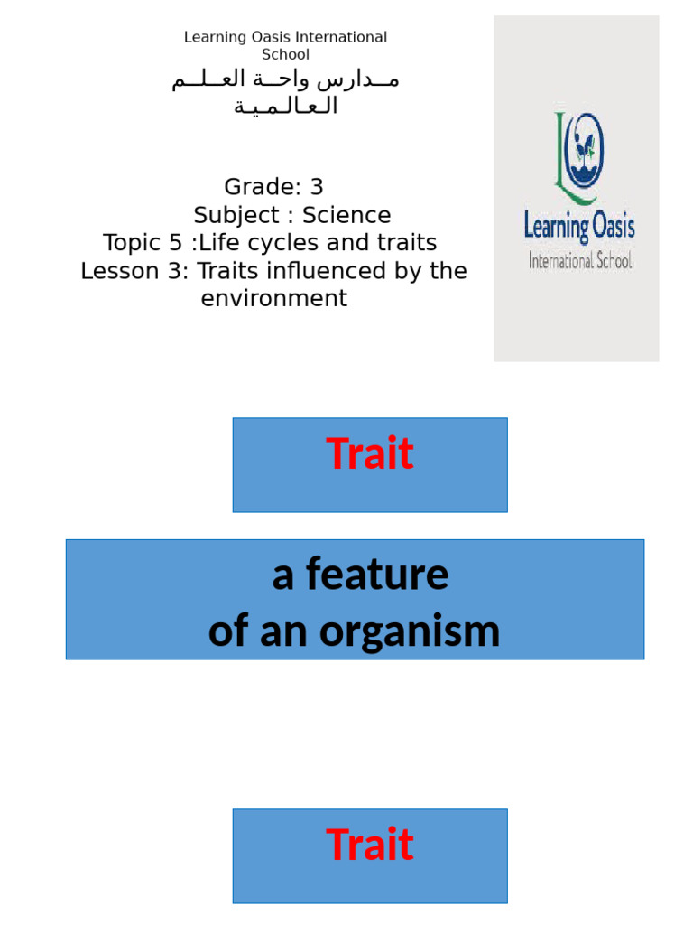 Topic 5 Lesson 3 Summary Sheet | PDF | Predation | Soil