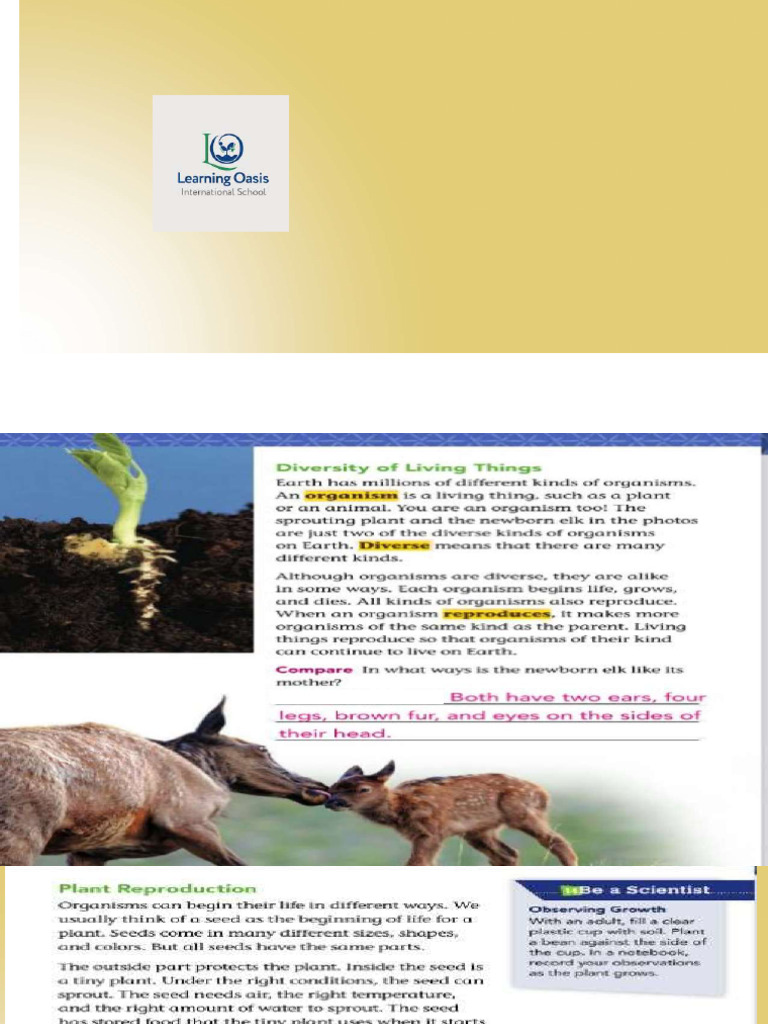 Science Topic 5 Lesson 1 Book Model Answers | PDF