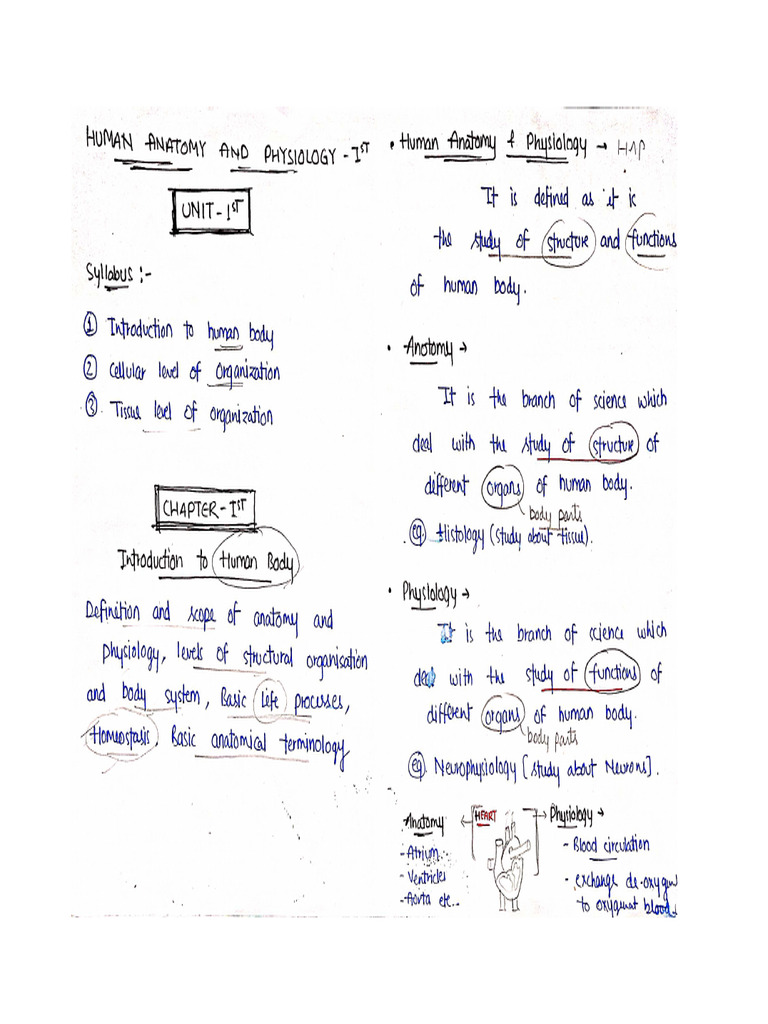 Chapter 1, Unit 1, Human Anatomy and Physiology 1 | PDF | Biology ...