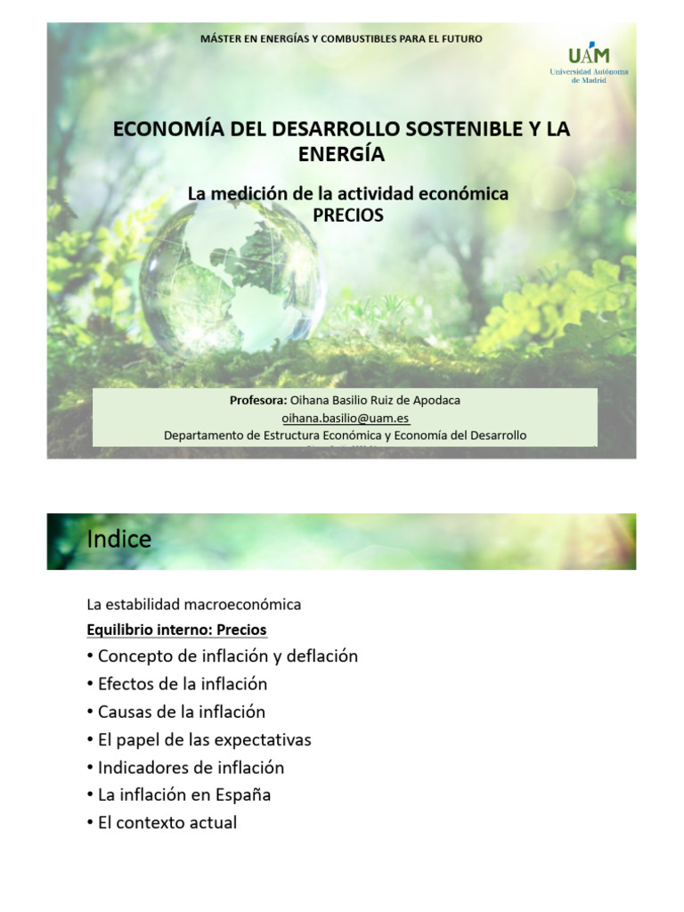 3 - Equilibrio Interno - Precios | PDF | Inflación | Índice de precios ...