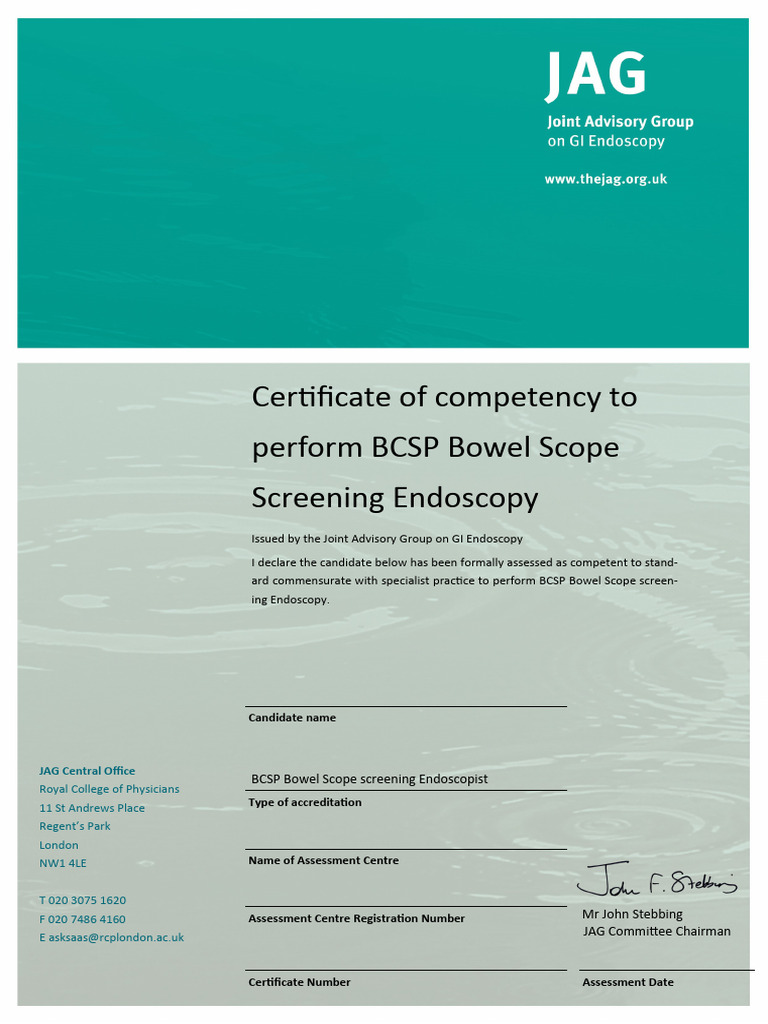 BCSP BSSE Certificate | PDF