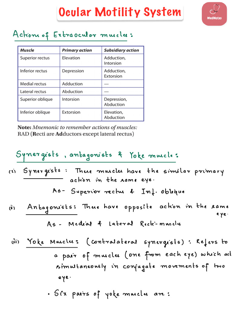 1. Ocular Motility System | PDF | Face | Vision