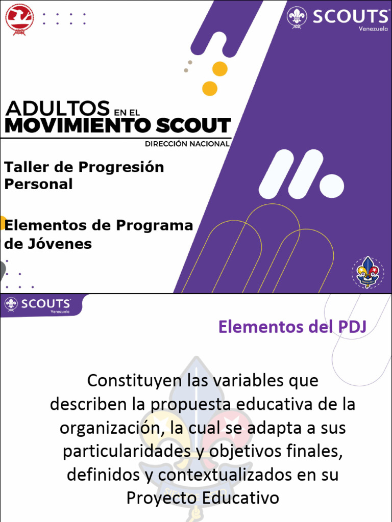 03 TPP - Elementos Del PDJ | PDF | Ciencia cognitiva | Sicología