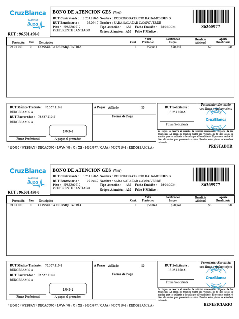 Formato Bono Fonasa GES | PDF