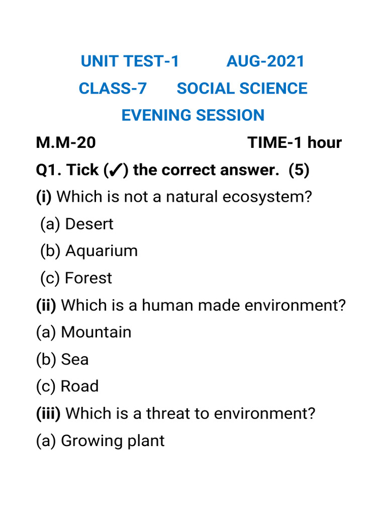 7th SST Evening Eng Medium | PDF