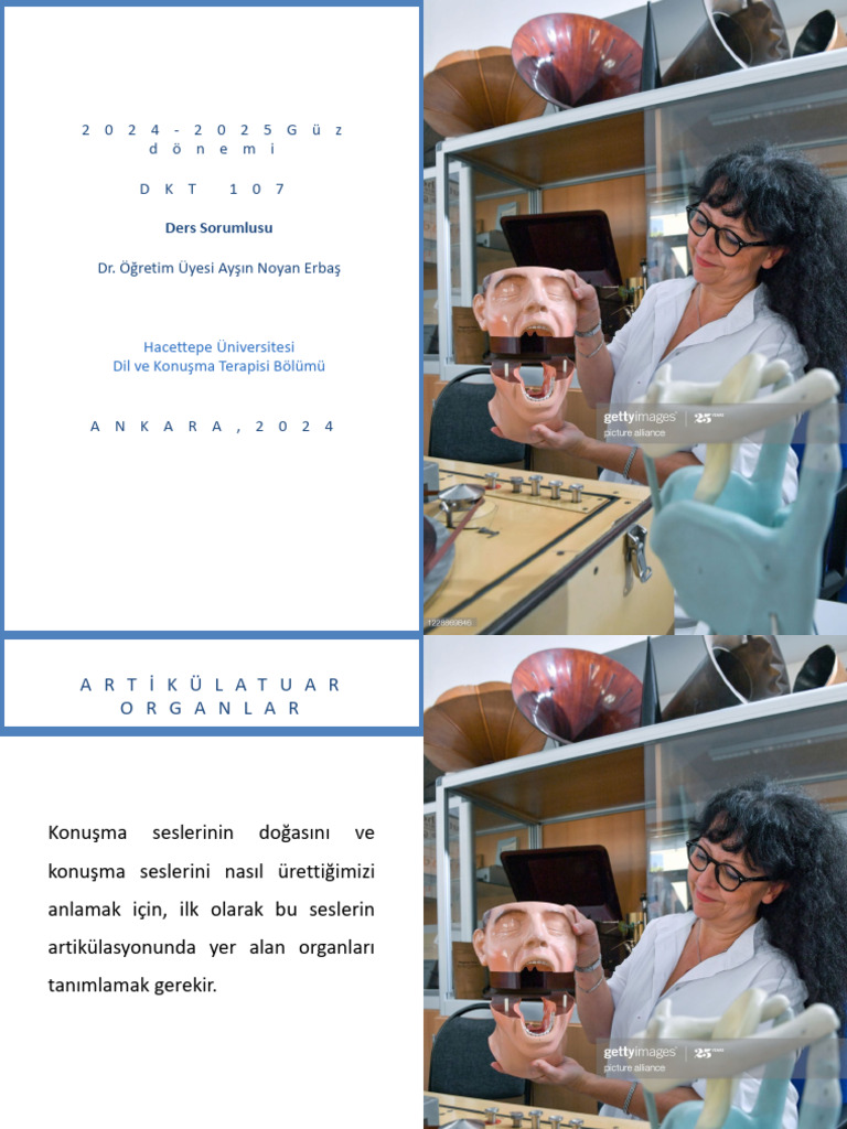 Ünsüz Sesler Sınıflandırma - 2024 | PDF