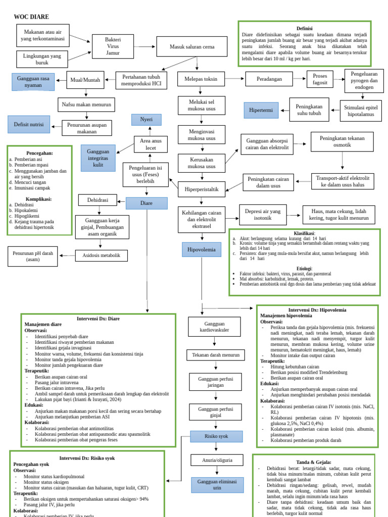 WOC DIARE - Zahra | PDF