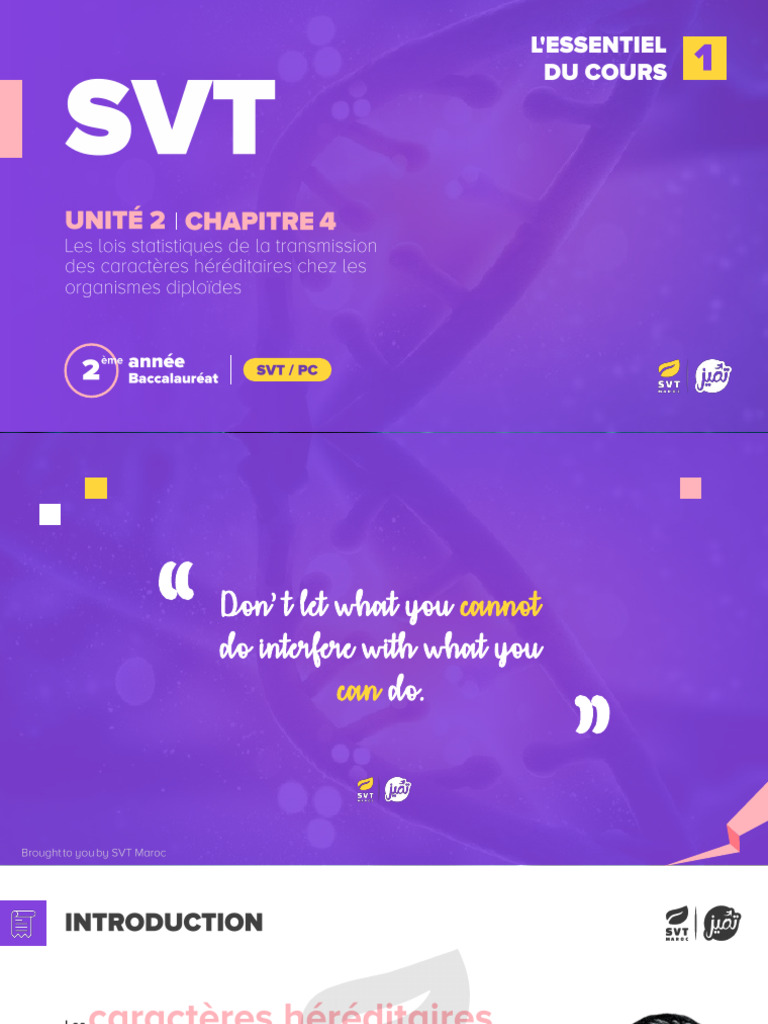 Axe 1 - Chapitre 4 - Unité II - Essentiel Du Cours (Lois Statistiques) (1) - 1 | PDF