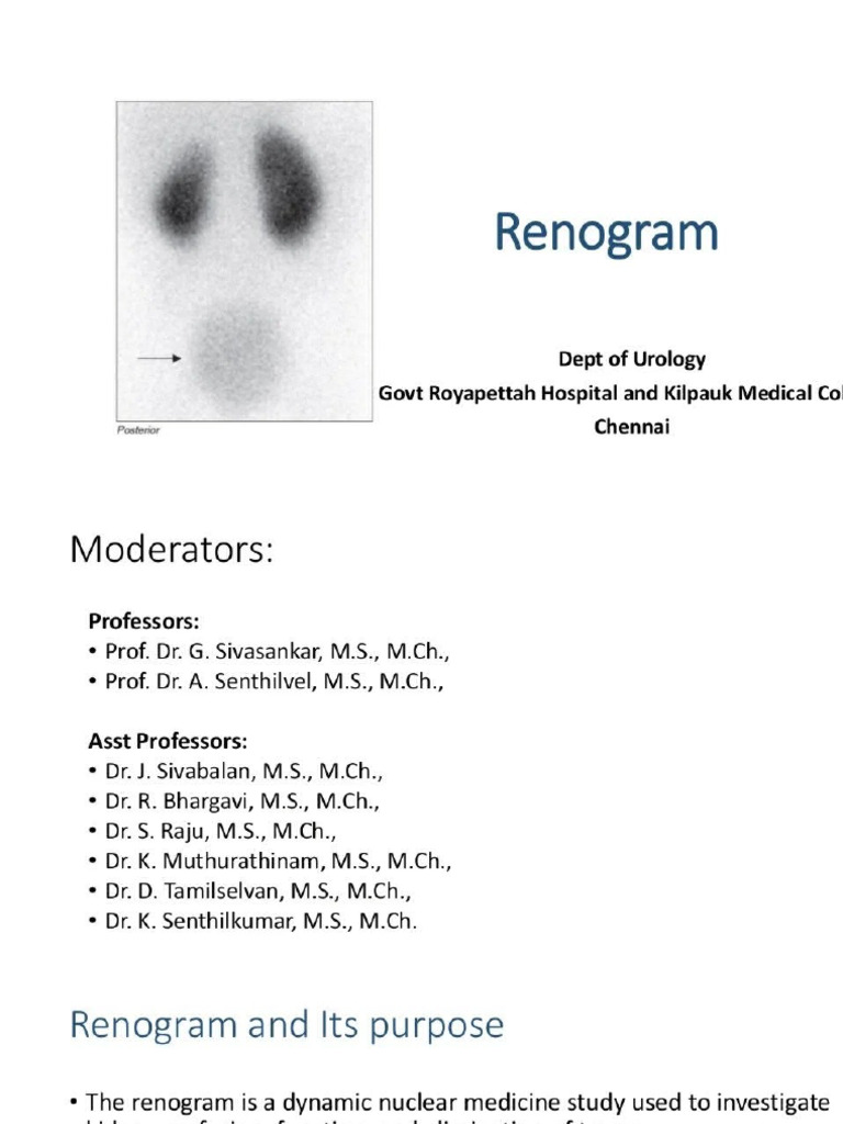 Renogram | PDF