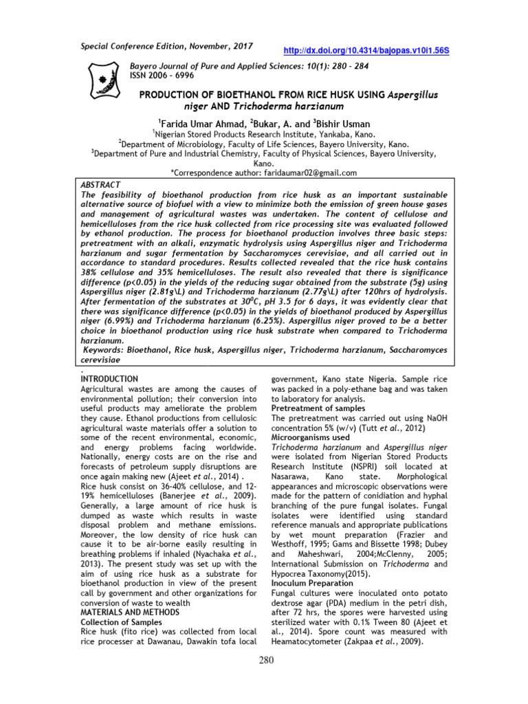 PRODUCTION_OF_BIOETHANOL_FROM_RICE_HUSK | PDF | Ethanol | Aspergillus