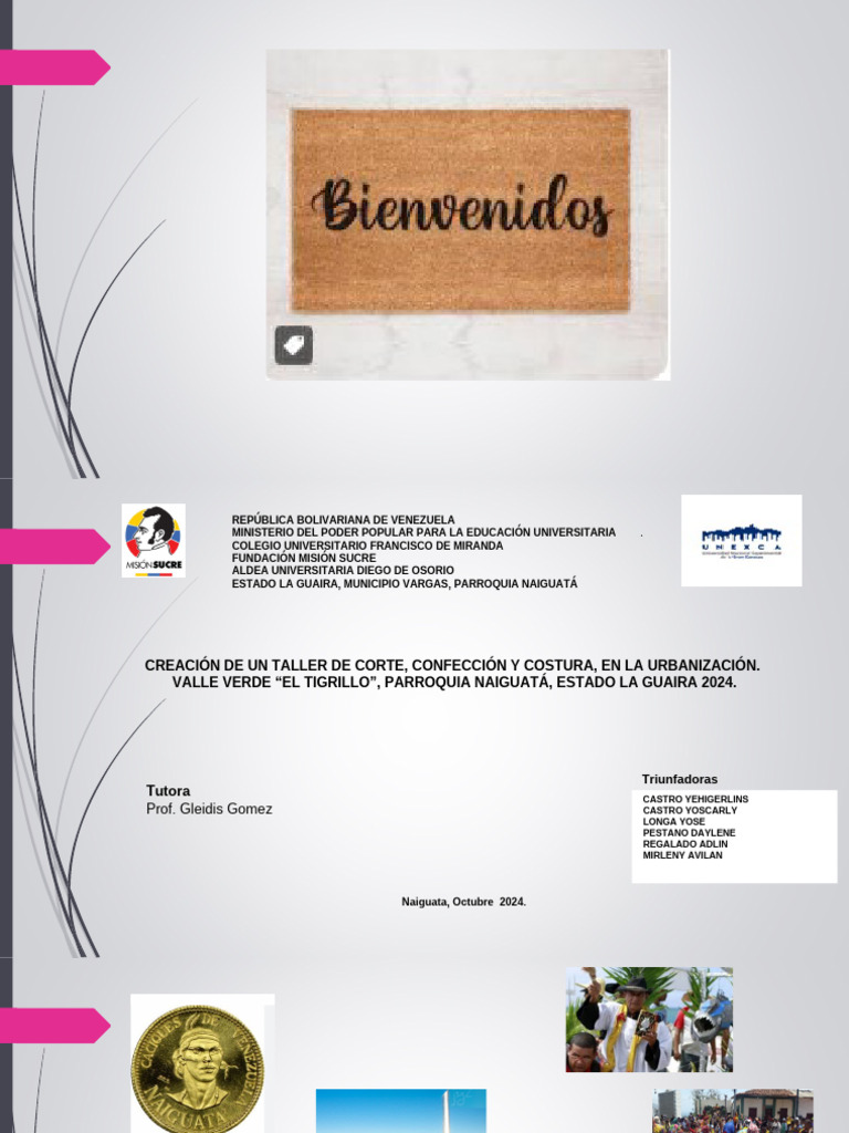 Presentación CARLY | PDF | Ciencias económicas | Economias