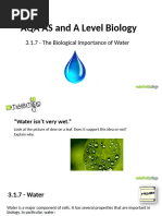 Water: The Universal Solvent Explained | PDF | Water | Properties Of Water