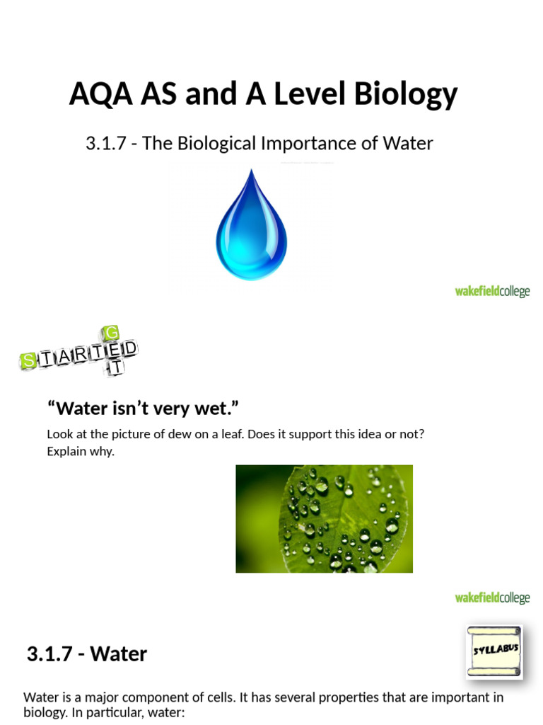 3.1.7 - The Biological Importance of Water | PDF | Properties Of Water ...