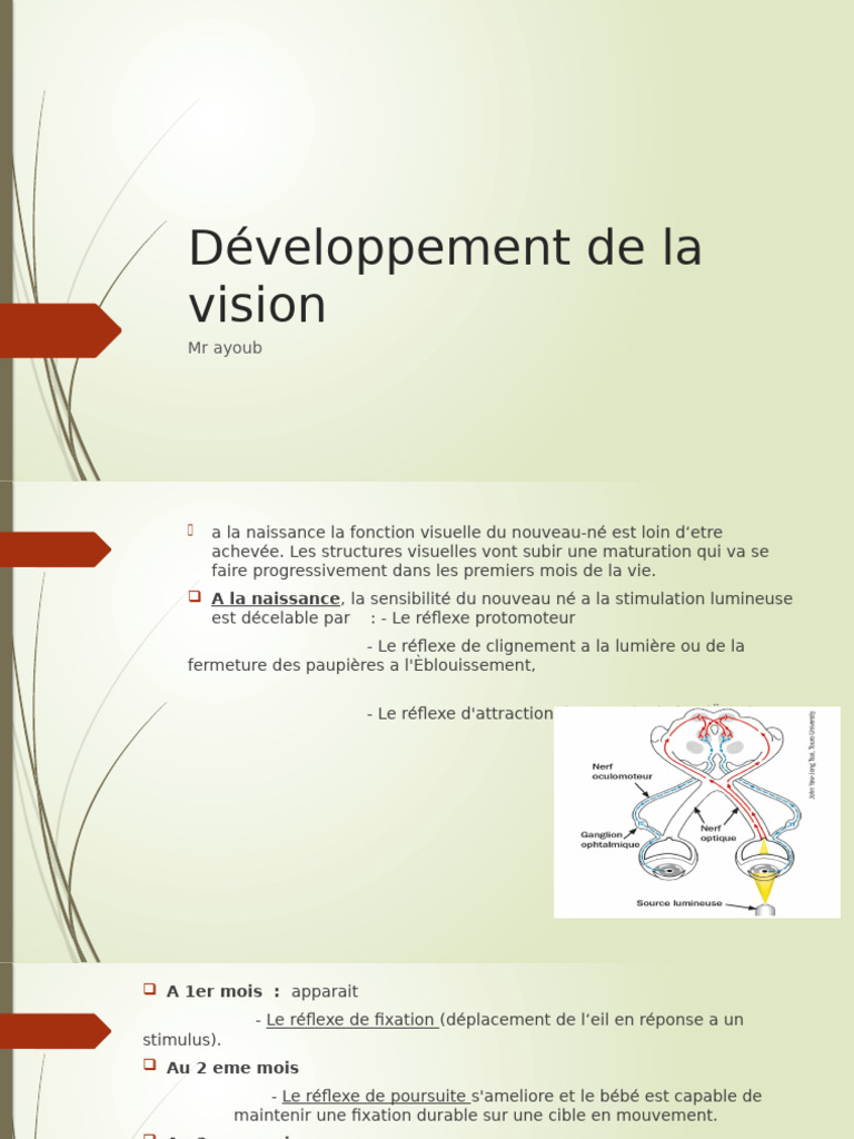 Développement de La Vision | PDF | Myopie | Caractéristiques faciales