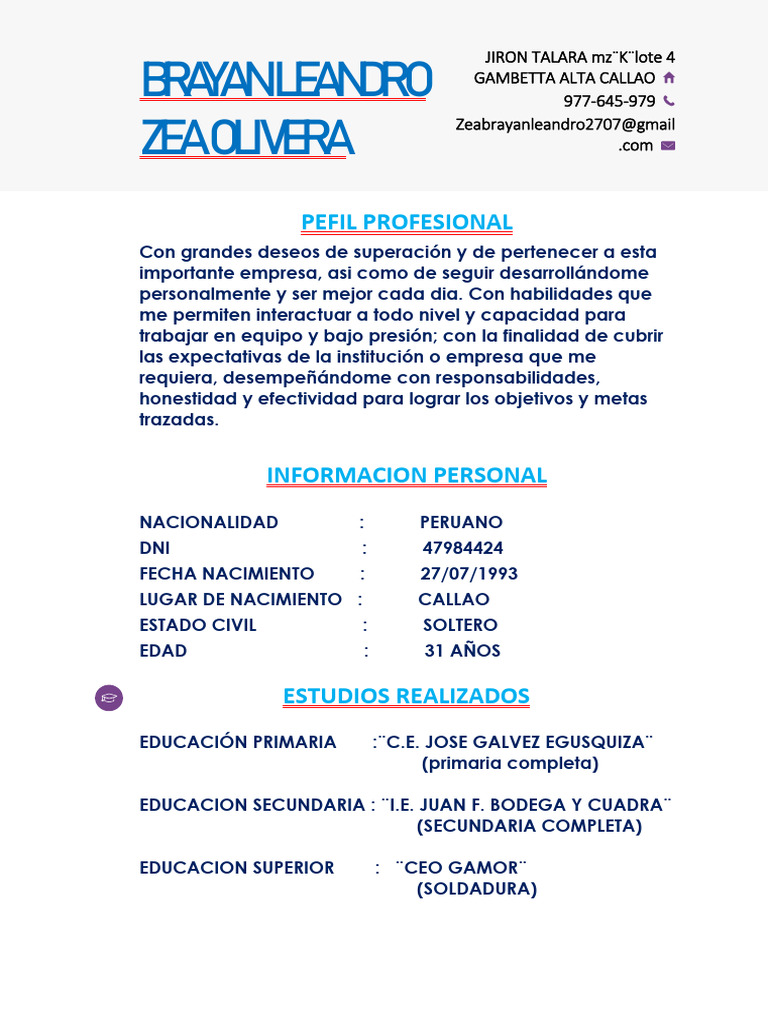Curriculum Brayan | PDF