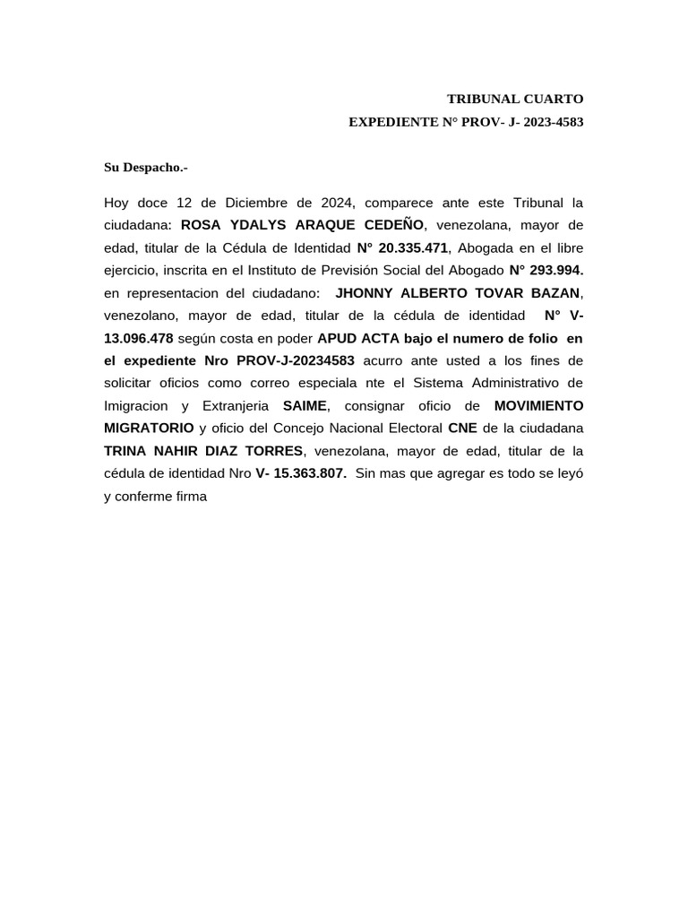 Solicitud de Oficios Migratorios y CNE | PDF