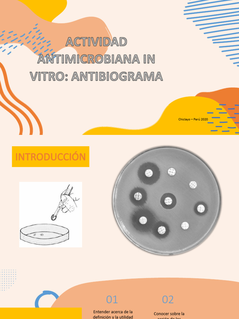 Actividad Antimicrobiana in Vitro Antibi | PDF | Antimicrobiano ...