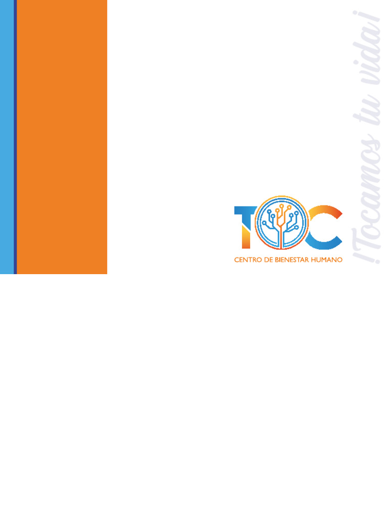 Manual de Identidad Visual TOC | PDF | Marca | Diseño gráfico