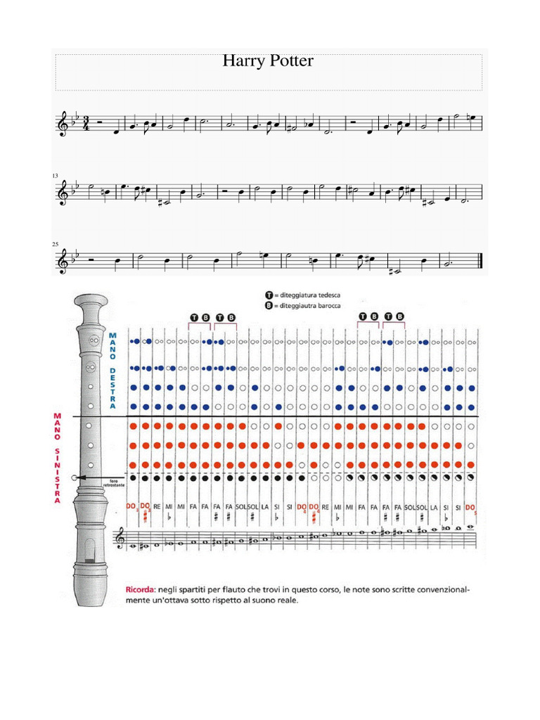 Harry Potter Con Fingering | PDF
