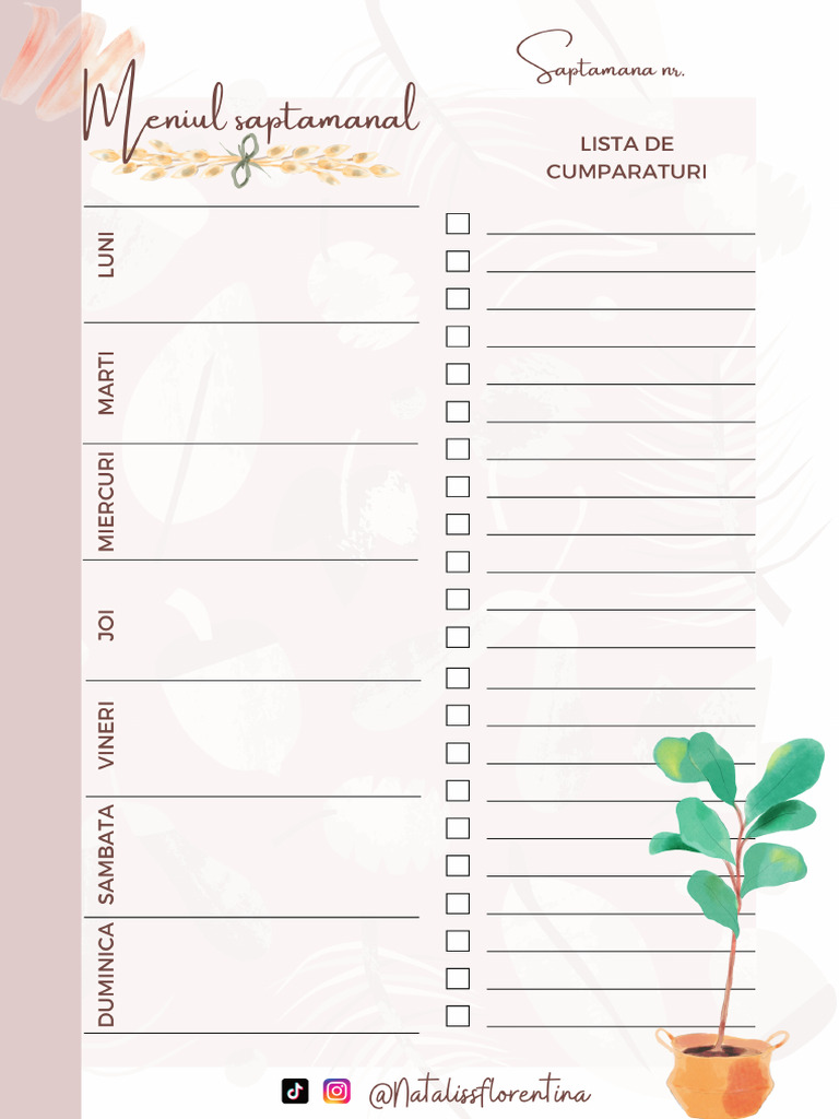 Meniu Saptamanal Natalissflorentina | PDF