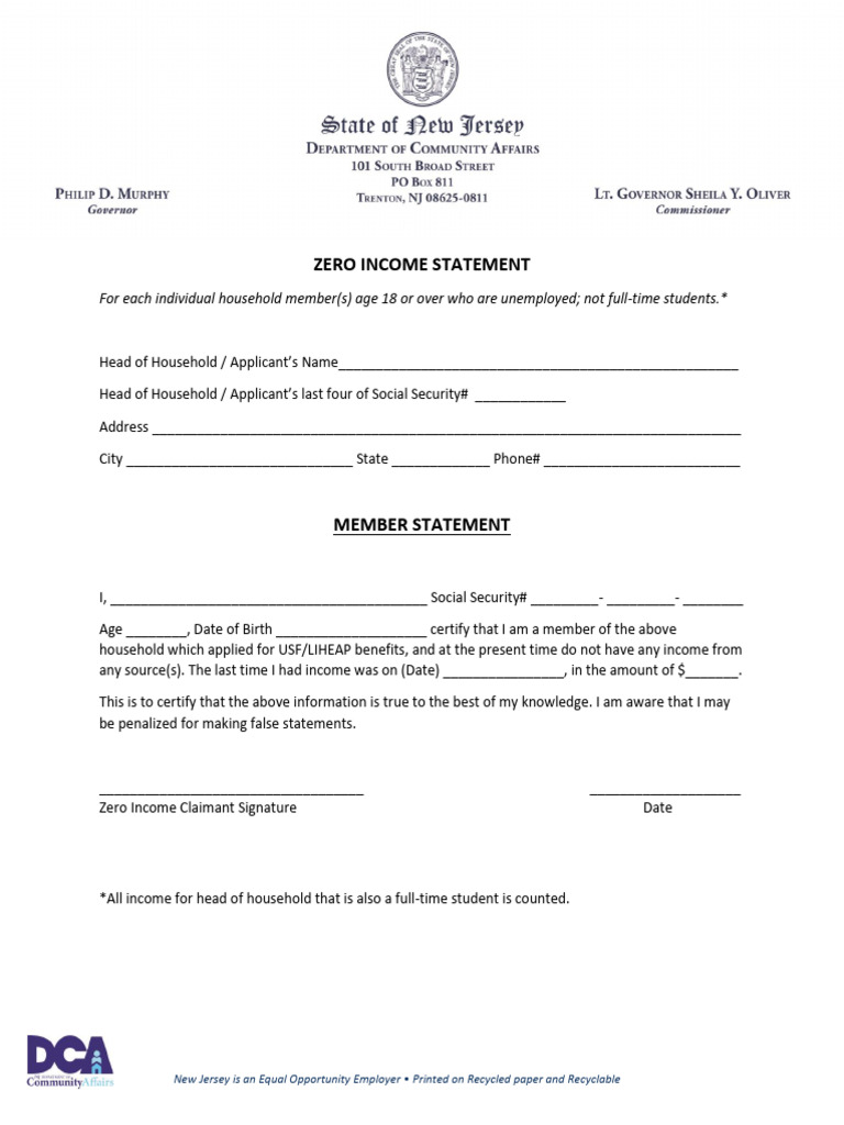 Zero Income Statement | PDF