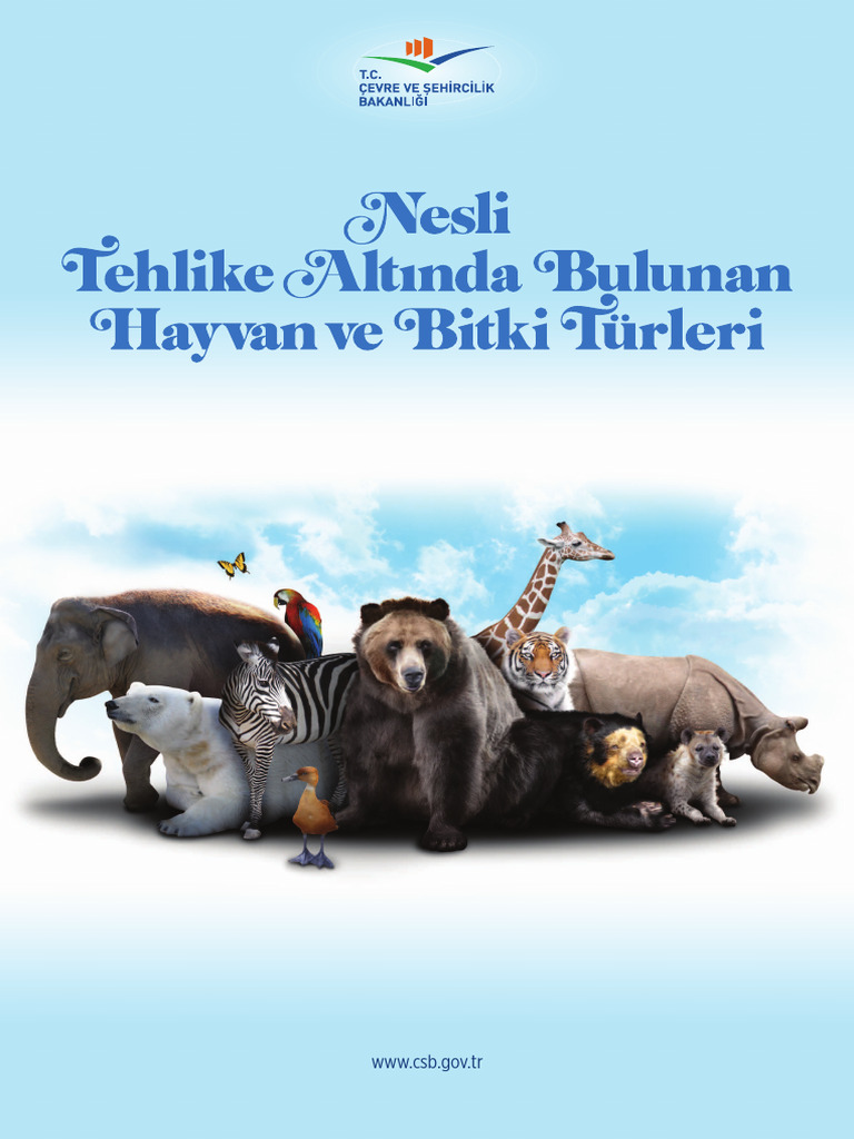 07 Nesl Tukenen Canl Lar Brosur 20191128080630 | PDF